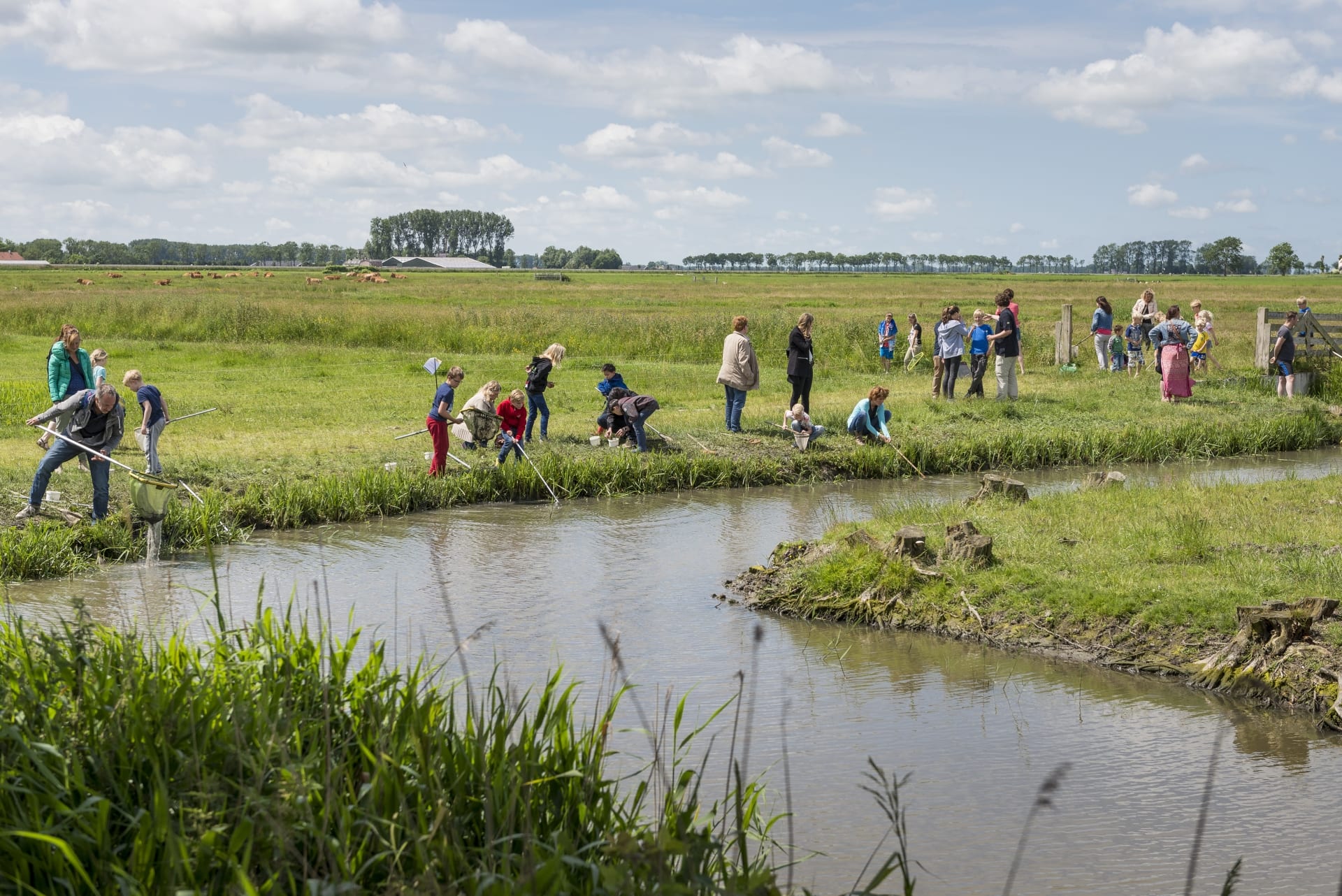 Wat leeft er in de sloot? - Het Groninger Landschap