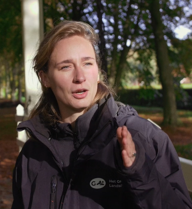 Anna Bronsveld - Het Groninger Landschap