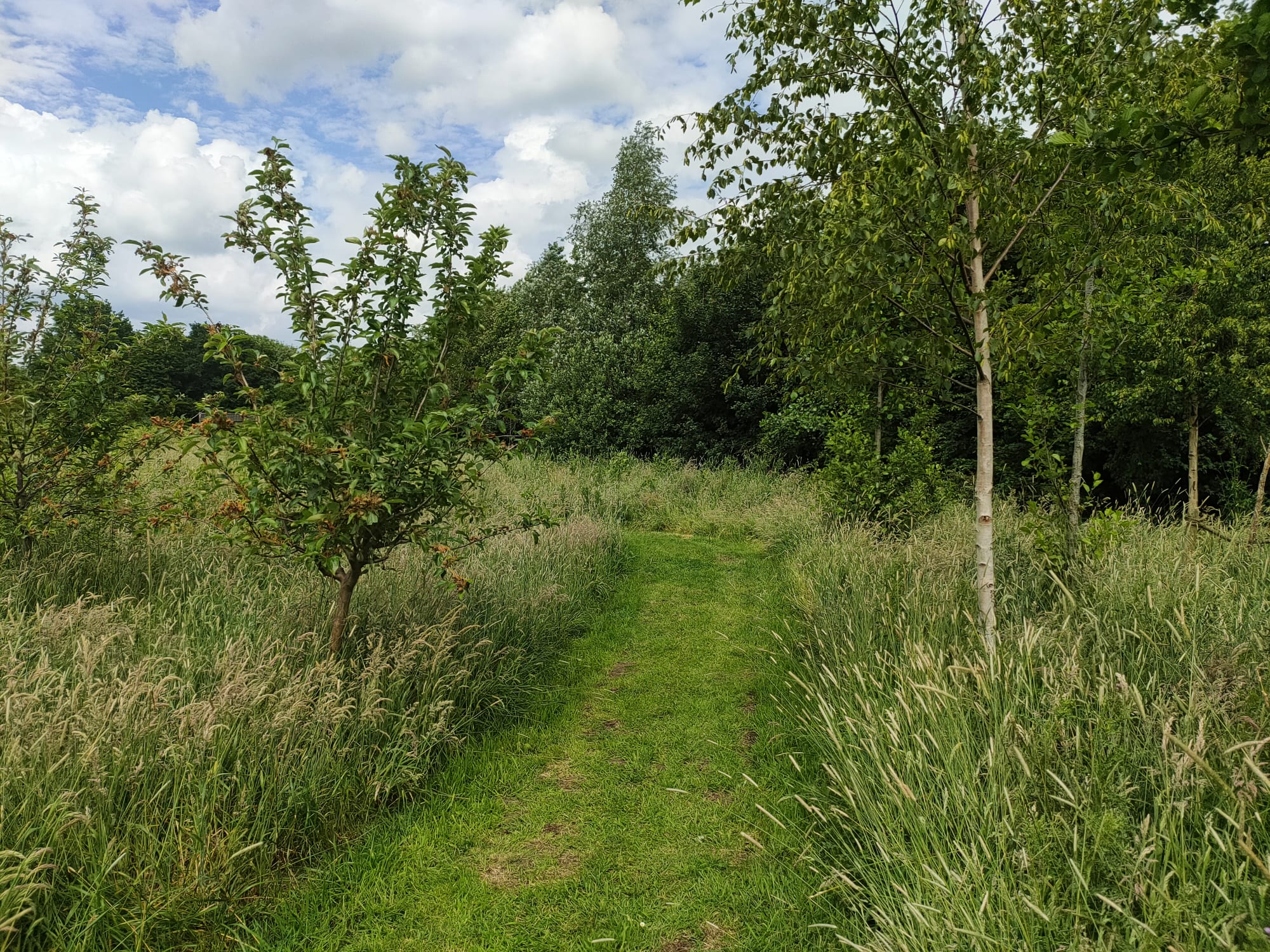 Archief Actualiteiten - Het Groninger Landschap
